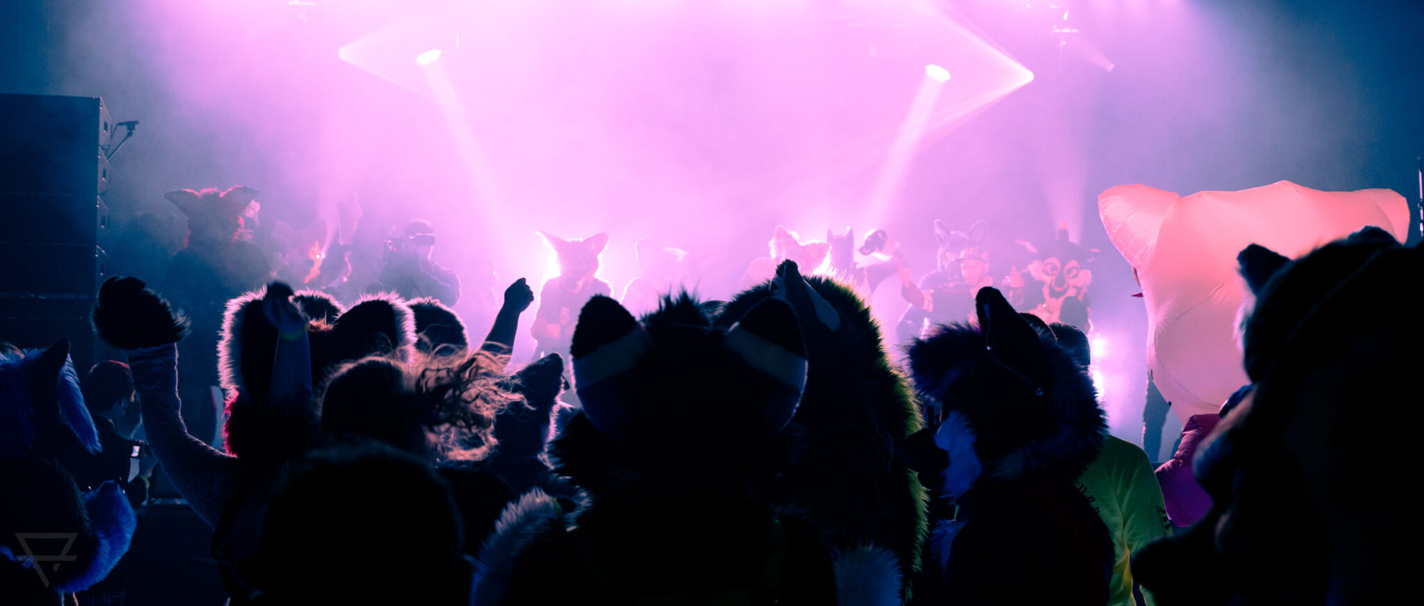 The History of Fursuit Dancing and Dancing in the Furry Fandom | Fang ...